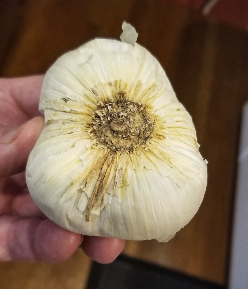 Kitchen Myths | Facts and fiction about food and cooking